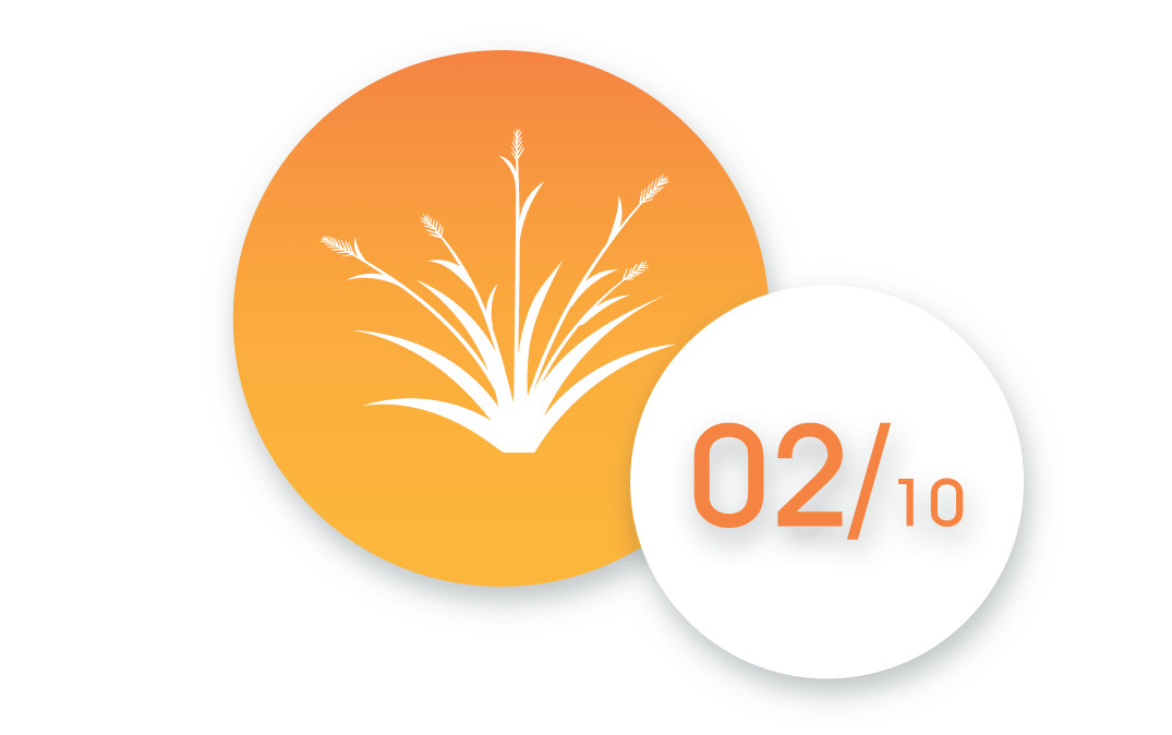 Home - Seasons Golf Course